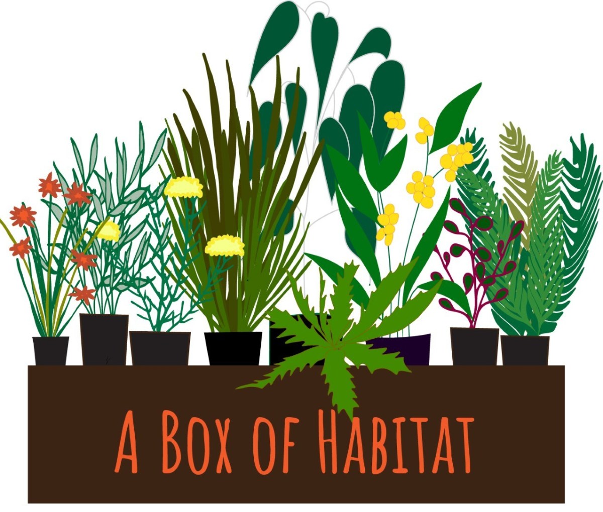 Woodend Landcare News: Habitat Boxes, Interesting Events and More ...