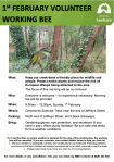 1st February Working Bee and 2026 Calendar | Woodend Landcare